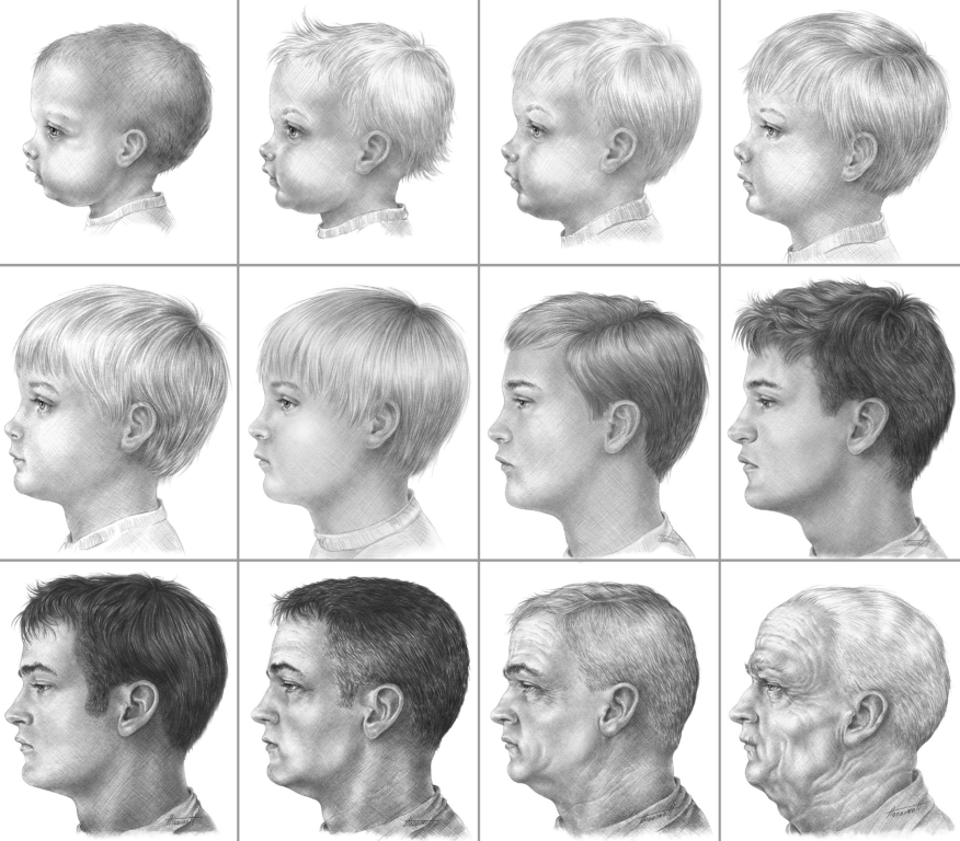 Learn to Draw | Drawspace